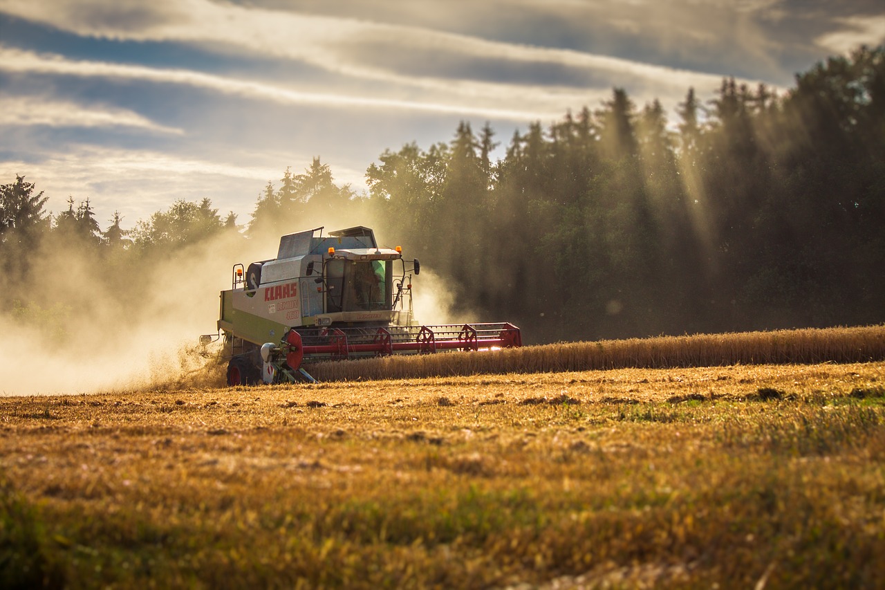 When Tax-Loss Harvesting Makes Sense (And When It Doesn’t) - McLean